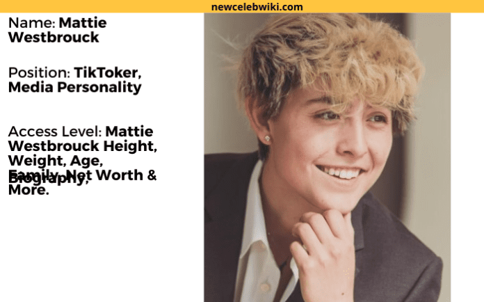 Mattie Westbrouck Height, Wiki, Bio, Net Worth & More | NewCelebWiki