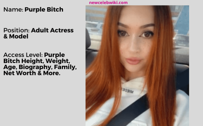 Purple Bitch Height, Wiki, Bio, Age, Boyfriend, Net Worth