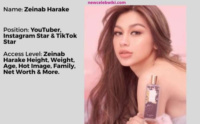 Zeinab Harake Skusta Clee, Wiki, Birthday, Bio, Height, Hot Image