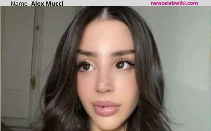 Alex Mucci Onlyfans, Twitter, Height, Wiki, Bio, Affairs, Net Worth & More