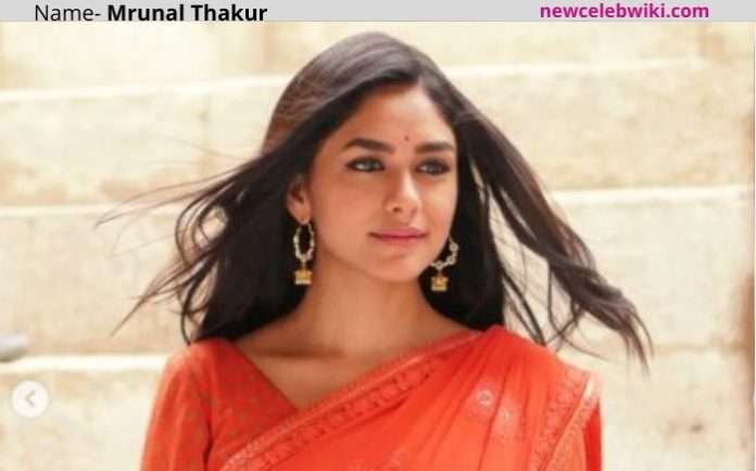 Mrunal Thakur Age, Kumkum Bhagya, Princess Noor Jahan, Affairs