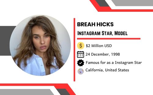 Breah Hicks Age, Net Worth 2025, Biography, Bio, Baby, Wiki